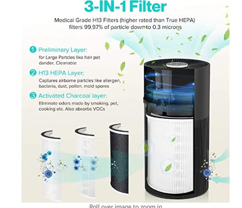HIMOX Replacement Filter for Model HIMOX-H10, Medical Grade H13 True HEPA Air Filter for Home Allergies Pets Hair Smokers in Bedroom