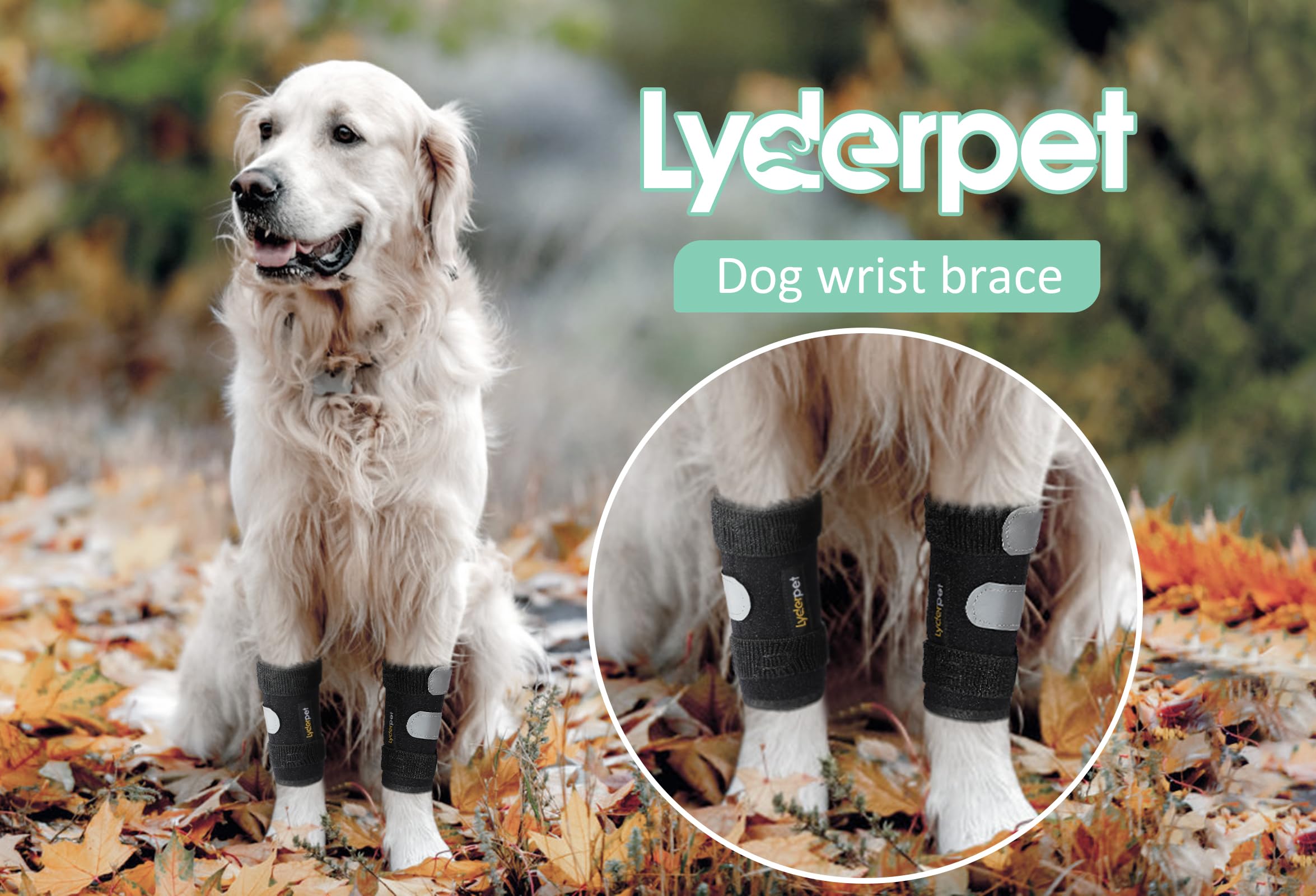 Lyderpet Dog Brace Front Leg Wrist Support, Canine Dog Carpal Brace Splint, Prevents Injuries and Sprains, Protects Carpus Joint Wounds Heals, Helps with Loss of Stability Caused by Arthritis
