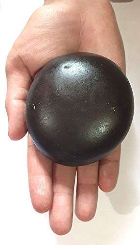 Ram Ratan Kendra Shaligram Shila | Nepal Gandaki River Saligram Stone | 1.5 Inch (Shaligram Shila 100-150 gm)