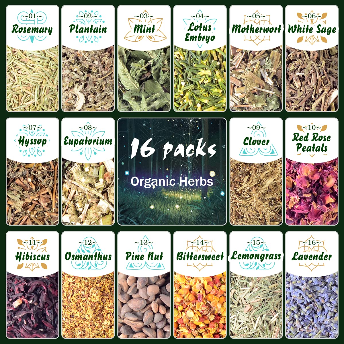 Dried Herbs for Witchcraft, 16 Pack Magic Herbs Kit for Spells, Witch Stuff for Beginners with Magical Uses, Wiccan Supplies and Tools Green Witchcraft Herbs for Wicca, Pagan, Rituals, Altar, Voodoo