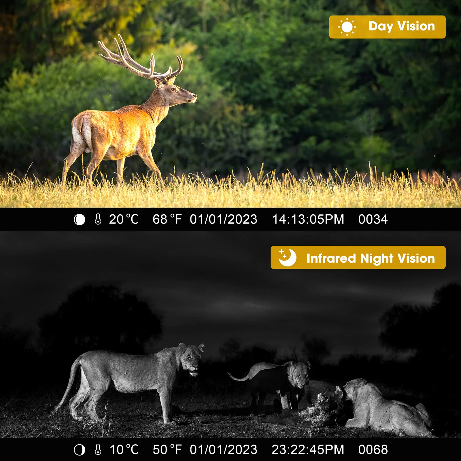 HELMOP Solar Trail Camera,1080P 24MP Solar Power Trail Camera with 32GB Micro SD Card, 0.1S Trigger Speed IP66 Waterproof Hunting Game Camera with Night Vision for Wildlife Observation Hunting