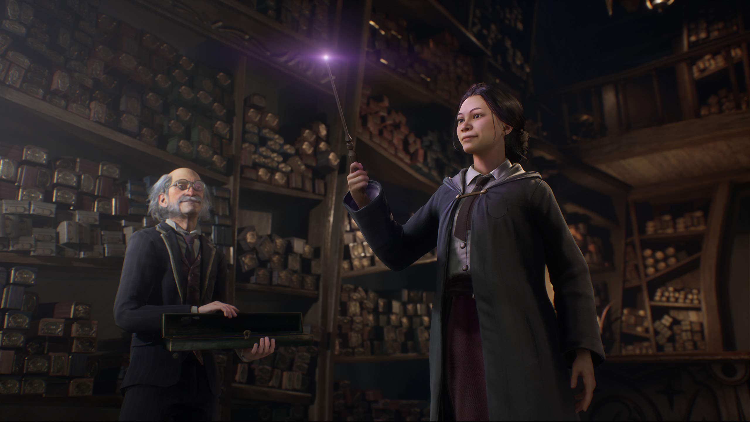 Hogwarts Legacy Collector's Edition - PC