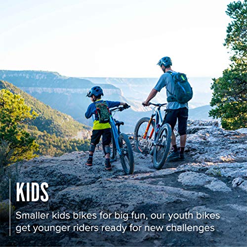 Diamondback Bicycles Mini Viper Youth BMX Bike