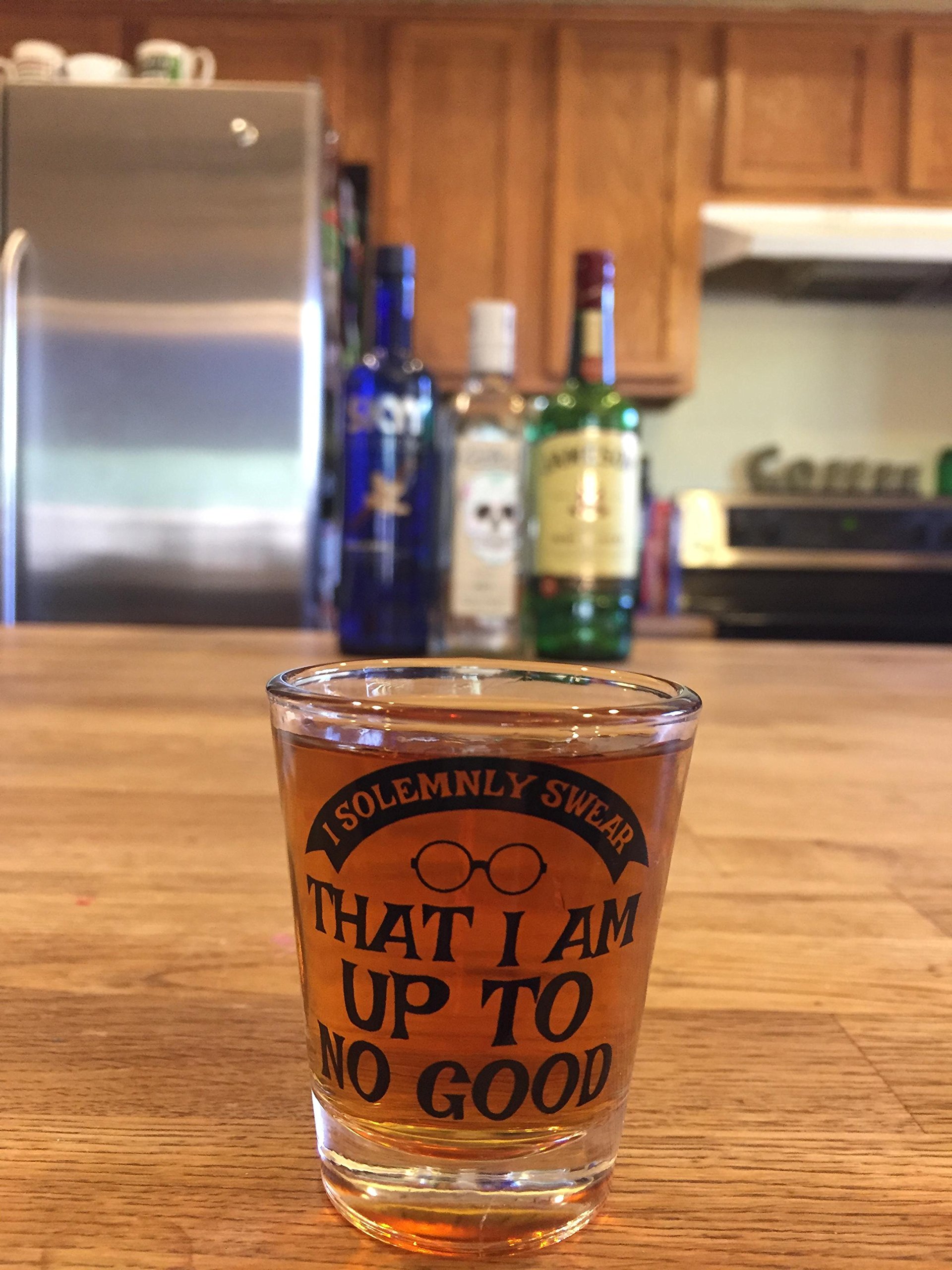 GO FROZEN Inspired by Harry Potter Shot Glass-I Solemnly Swear-Mischief Managed