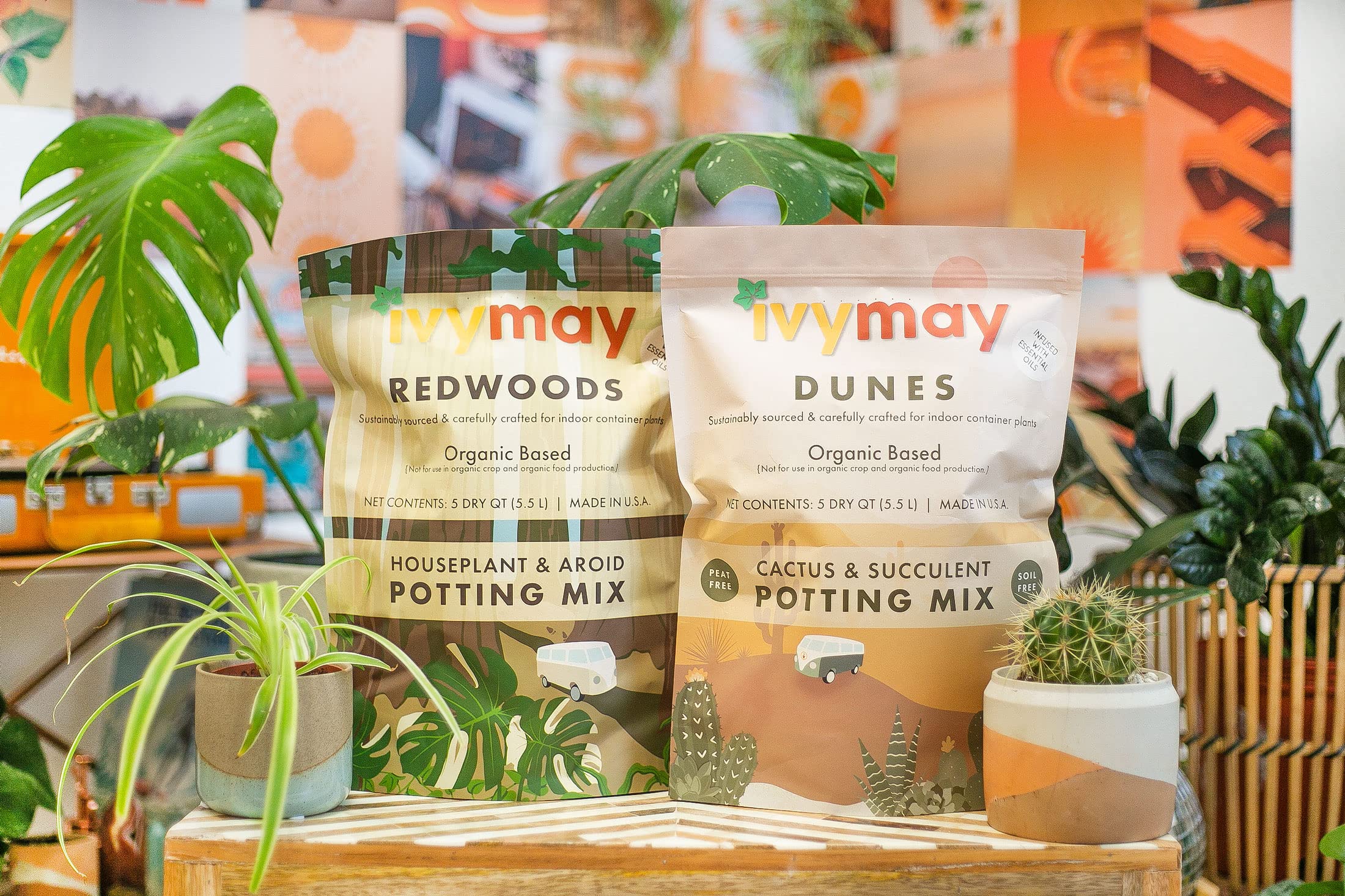 IvyMay Dunes Succulent Soil ― Organic Cactus Soil Potting Mix for Succulents, Ready to Use Potting Soil Indoor Plants with Perlite, Pumice, Earthworm Castings, Essential Oils ― 5 qt