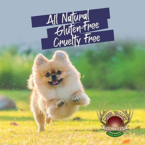 Deer Valley Dog Chews (Tiny 6 Pack, 4-6 Inches) - Premium Deer Antler for Small Dogs - Ideal Size for Puppies - Sourced in The USA