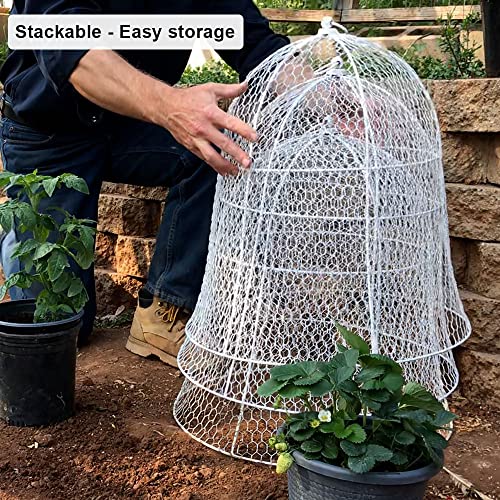 HEIDI & OLAV 3 Pack 20" & 3 Pack 14" Chicken Wire Cloche for Plants Squirrel Proof Metal Plant Cover Cage Garden Animal Protection Metal Plant Cage Protector Dome Rabbit Bunny Guard