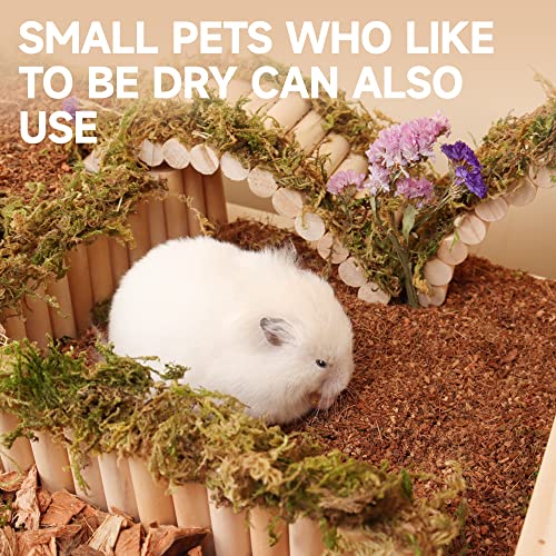 LUVCOSY Reptile Coconut Fiber Substrate & Forest Moss Combo Clean Bedding Accessories for Bearded Dragon/Snake/Lizard/Gecko/Tortoise, Tarantula Terrarium Tank Humidity Control and Odor Absorbent