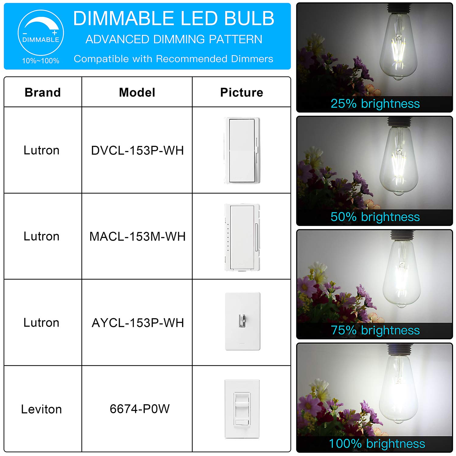 Edison Bulb, Dimmable Vintage LED Filament Light Bulbs Daylight White 5000K, SHINE HAI 4W ST64 Antique LED Squirrel Cage Lights 40W Equivalent, E26 Base, Pack of 12