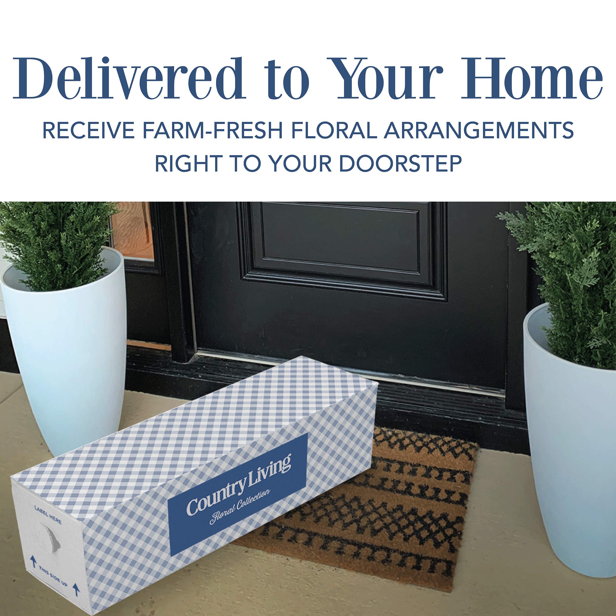 Country Living Floral Collection Premium Red and Pink Rose Mixed Fresh Flowers Delivery, Extra Large Bouquet