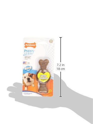 Nylabone Puppy Ring Bone Chew Toy - Puppy Chew Toys for Teething - Puppy Supplies - Chicken Flavor, Small/Petite (1 Count)