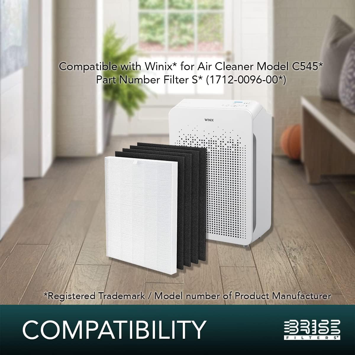 Filter S HEPA Replacement - Compatible with Winix C545 Air Purifier - Replaces Winix Filter S 1712-0096-00 (2 HEPA + 8 Carbon Filters)