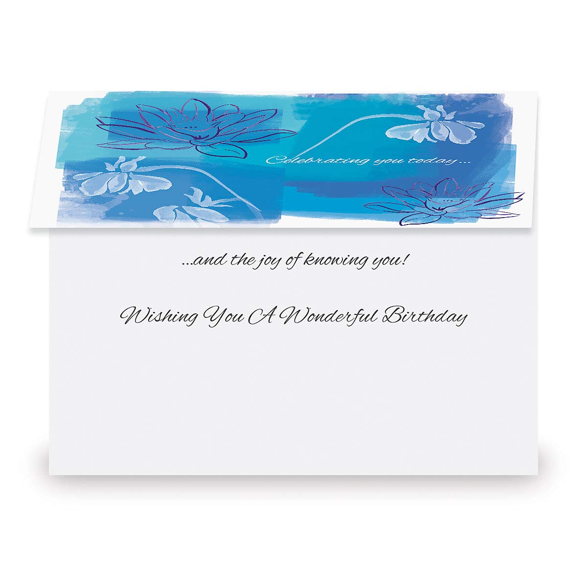Mega Birthday Greeting Cards Value Pack - Set of 40 (20 designs), Large 5" x 7", Birthday Cards with Sentiments Inside, White Envelopes