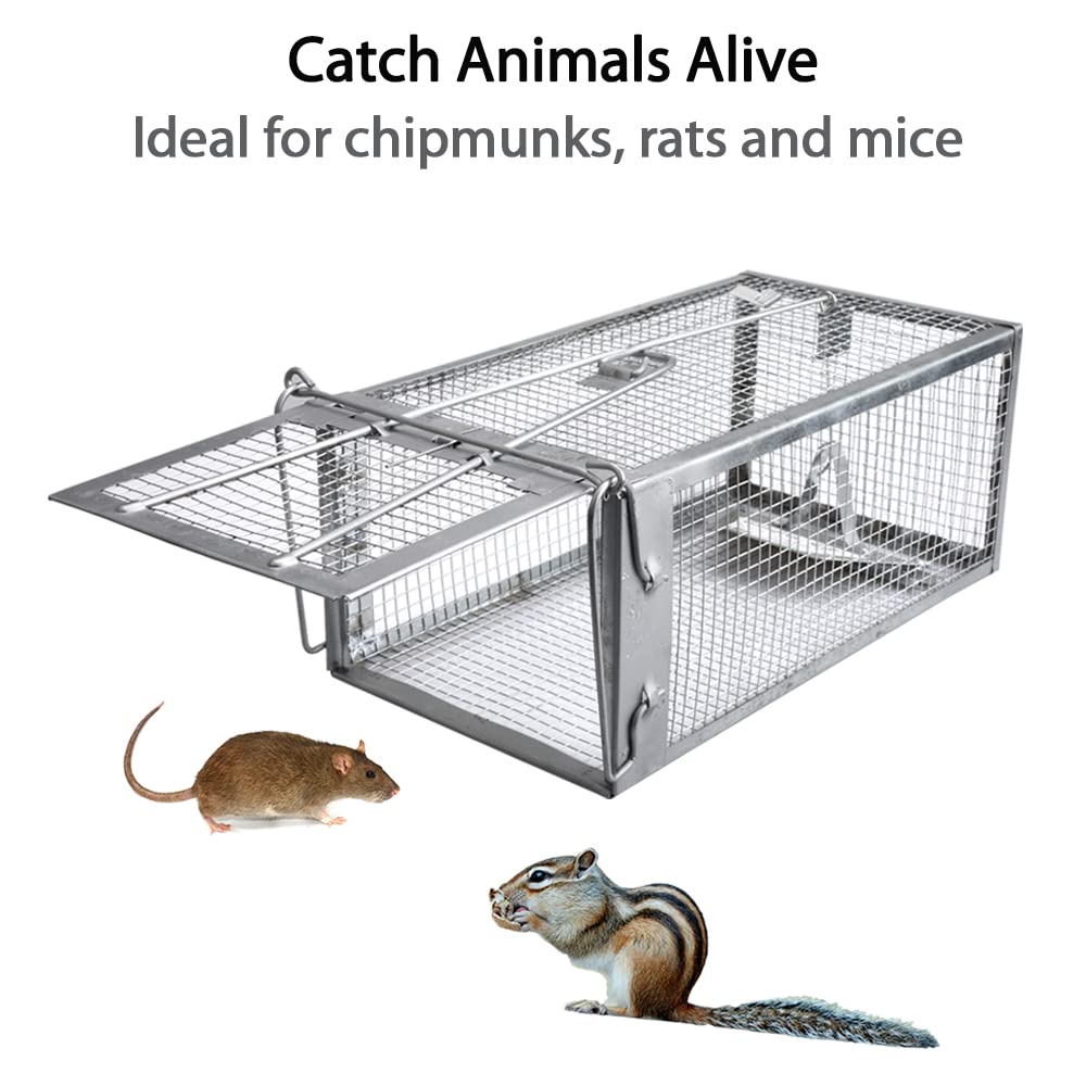 Gingbau 3-Pack Live Chipmunk Traps Humane Mouse Rat Trap Cages for Indoors and Outdoors