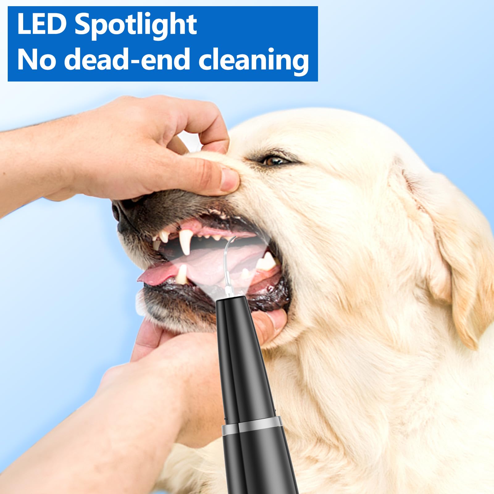 Ni-SHEN Dog Plaque Remover for Teeth,Pet Ultrasonic Tooth Cleaner,Teeth Cleaning Kit -Tartar Remover for Teeth Stains for Dogs and Cats (Black)