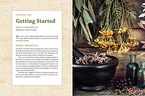 The Modern Herbal Dispensatory: A Medicine-Making Guide