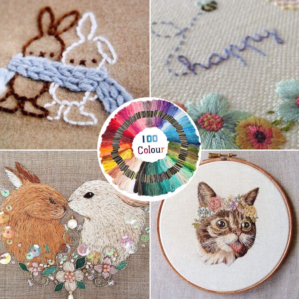 Embroidery Floss Thread Rainbow Color Cross Stitch Threads Friendship Bracelet String DIY Handmade Craft Premium Multi-Colored Floss (100)