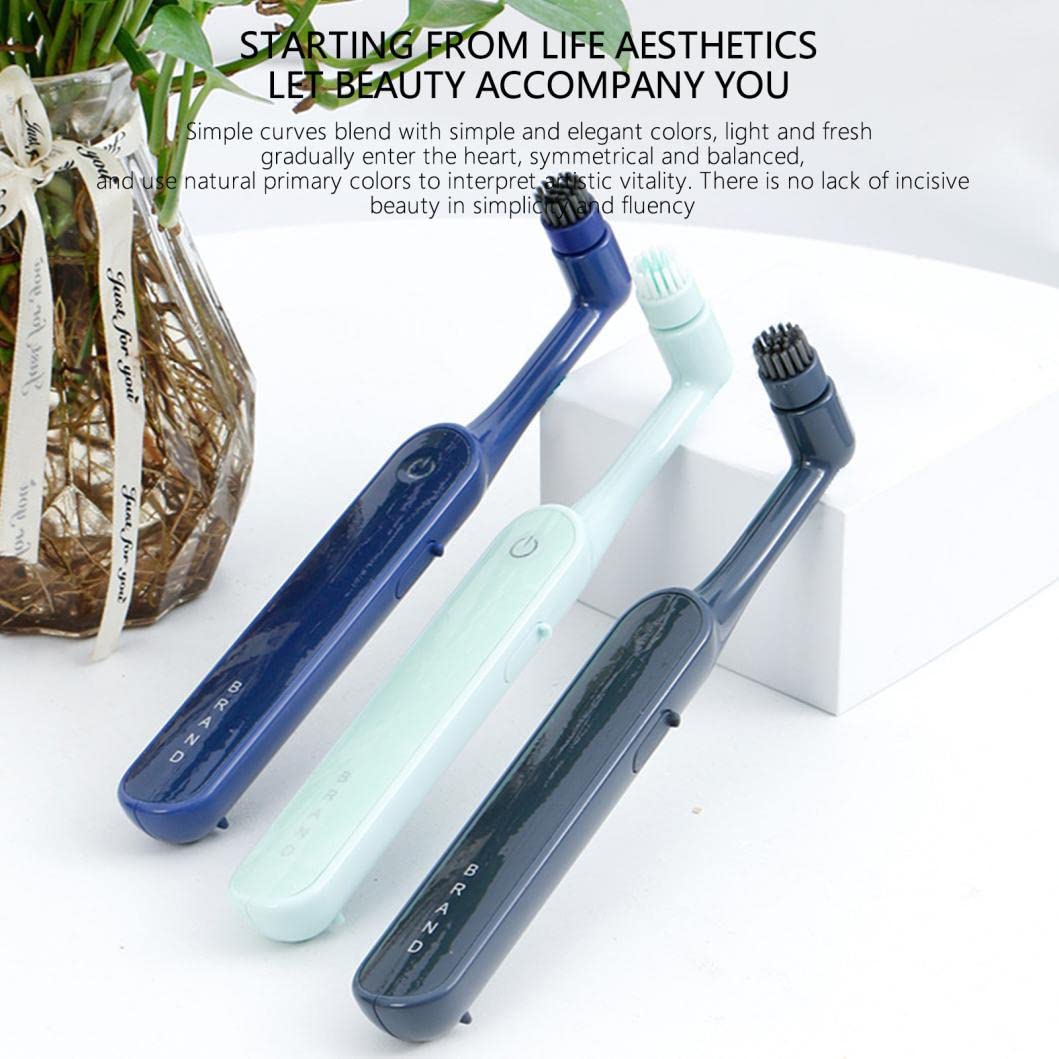 Firzero Electric Toothbrush for Adults, Waterproof Rotary Toothbrush with 4 Brush Heads, Portable USB Rechargeable Soft Bristle Vibrating Toothbrush with Two Gears Net Tooth Mode (Black)