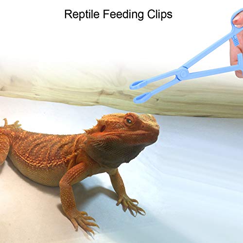 Reptile Feeding Tongs Reptile Feeding Clip Reptile Plastic Tweezers Tongs Feeding Tool