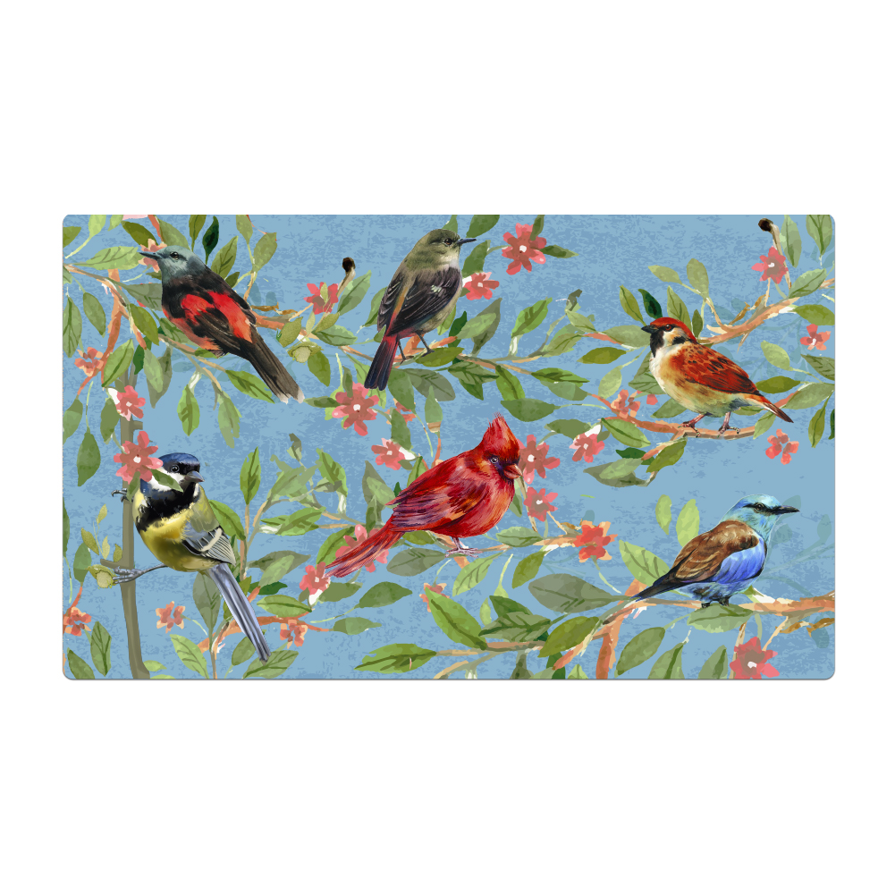 E-view Welcome Doormat for Front Door Non Slip Rubber Floor Mat - Decorative Doormats for Entrance Way Outdoors Indoors Door Mat Entrance Rug for Home Patio Garden (Birds)