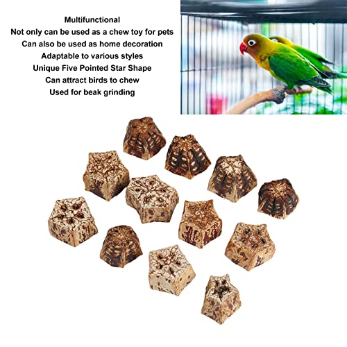 Pssopp Bird Chewing Blocks Toy,Decorative Dried Nut Wood Bird Block Toys Decorative Five Pointed Bird Toy for Bird Supplies Hamsters Totoros Rabbits