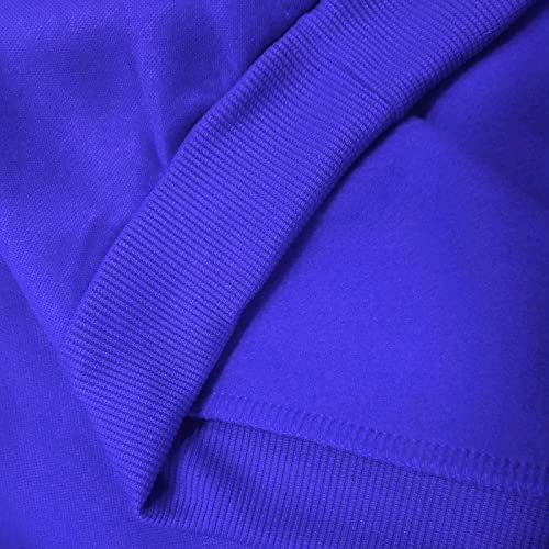 NaRHbrg Sweatshirt for Womens Letter Print Fall Sweatshirts Crewneck Long Sleeve Shirts Tunic Tops for Leggings Pullover Blue