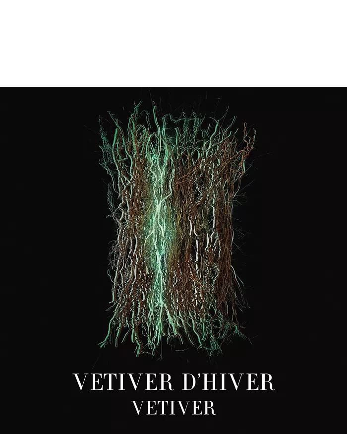 Giorgio Armani Prive Vetiver D'Hiver Eau De Toilette Spray for Men, 100ML/3.4 Oz