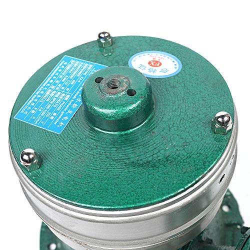 Hydro Generator Micro Hydro Water Turbine Generator US Plug for Household Lighting TV Electric Furnace 110V (600W)
