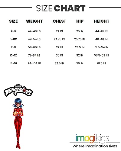 Miraculous Ladybug Cat Noir Rena Rouge Big Girls 2 Pack Ruffle T-Shirts Gray/Red 14-16