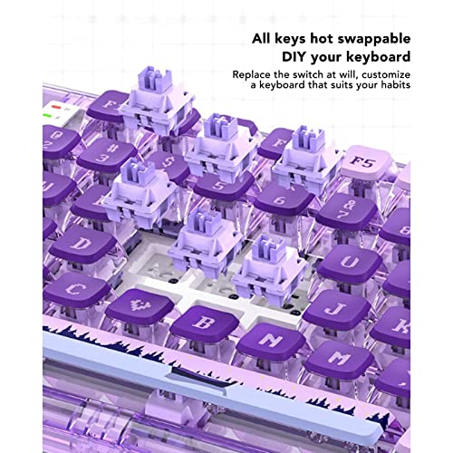 Mechanical Keyboard, 80 Keys Triple Modes Gasket Structure Transparent Case Hot Swapable Mechanical Gaming Keyboard,for Gaming Studying