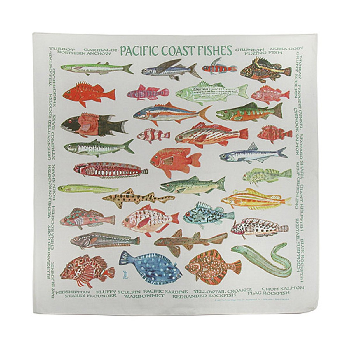 The Printed Image, Pacific Coast Fishes, Pacific Coast Fishes, PIM-368