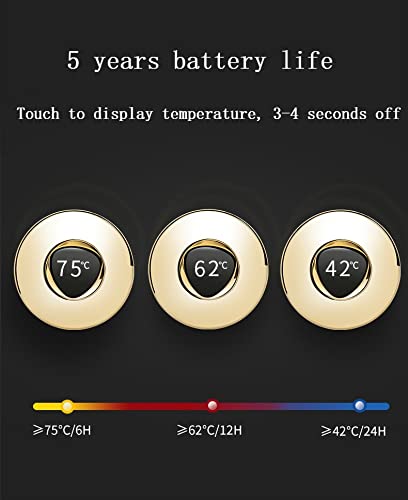 MMLLZEL Smart Thermos Bottle Temperature Display 316 Stainless Steel Vacuum Flask Waterproof Coffee Mug Keep Hot/Cold (Color : E, Size : 17x6.4cm)
