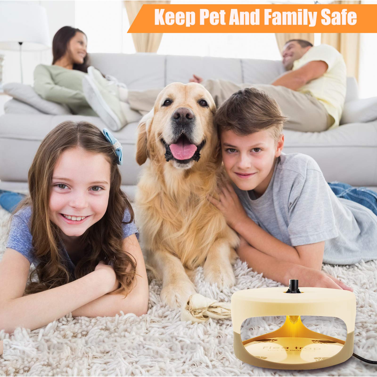 Flea Trap, Indoor Sticky Flea Trap with 2 Glue Discs Odorless Non-Toxic Natural Flea Killer Trap Pad Bed Bug Trap Light Bulb Pest Control for Home House Inside, Safe for Children Pet Dog Cat(1 Pack)