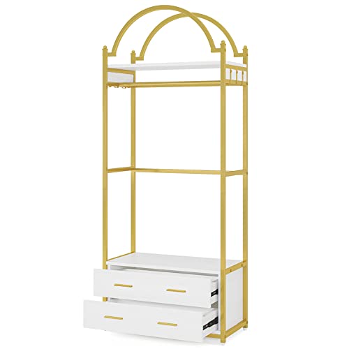 LITTLE TREE Tall Clothes Rack Shelves with Shelves Drawers and Hooks, Modern Arced Closet Organizer Heavy Duty Garment Clothing Freestanding Wardrobe Storage Shelving with Hanging Rod, White Gold