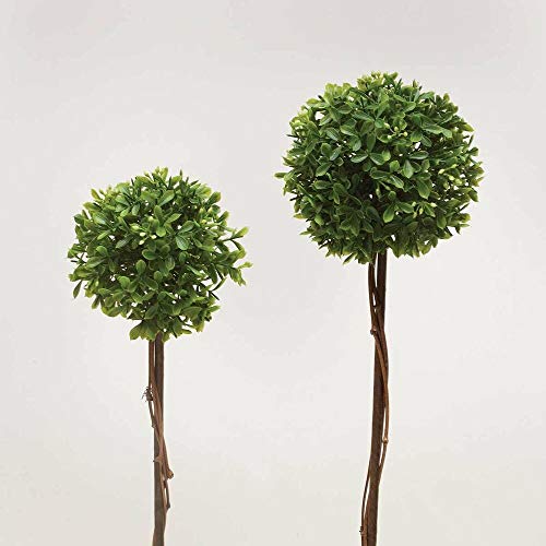 Ebern Designs 2 Piece Artificial Boxwood Desktop Topiary Set