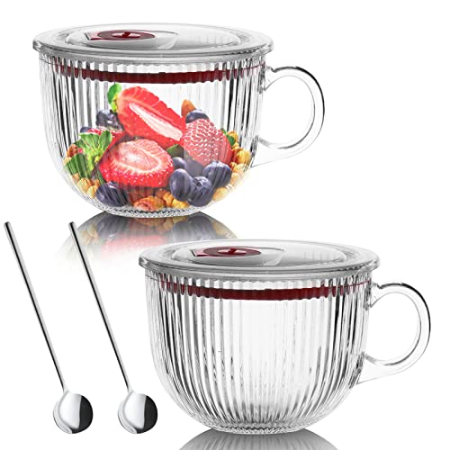 OULOVECO Glass Cereal Bowl Clear Oatmeal Bowl with Handle Spoon,Glass Coffee Mug with Lids Milk Breakfast Bowls Yogurt Bowl for Latte Tea Microwave Safe,400ml/13.5 oz,Set of 2
