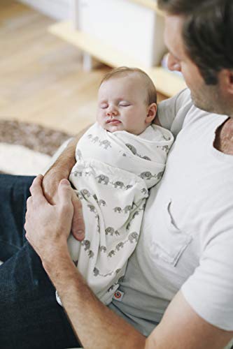 Ergobaby Swaddler Fly Me Away Baby Sleeping Bag, Swaddle Wrap with Hip Positioner and Arm Pouches, 100% Cotton