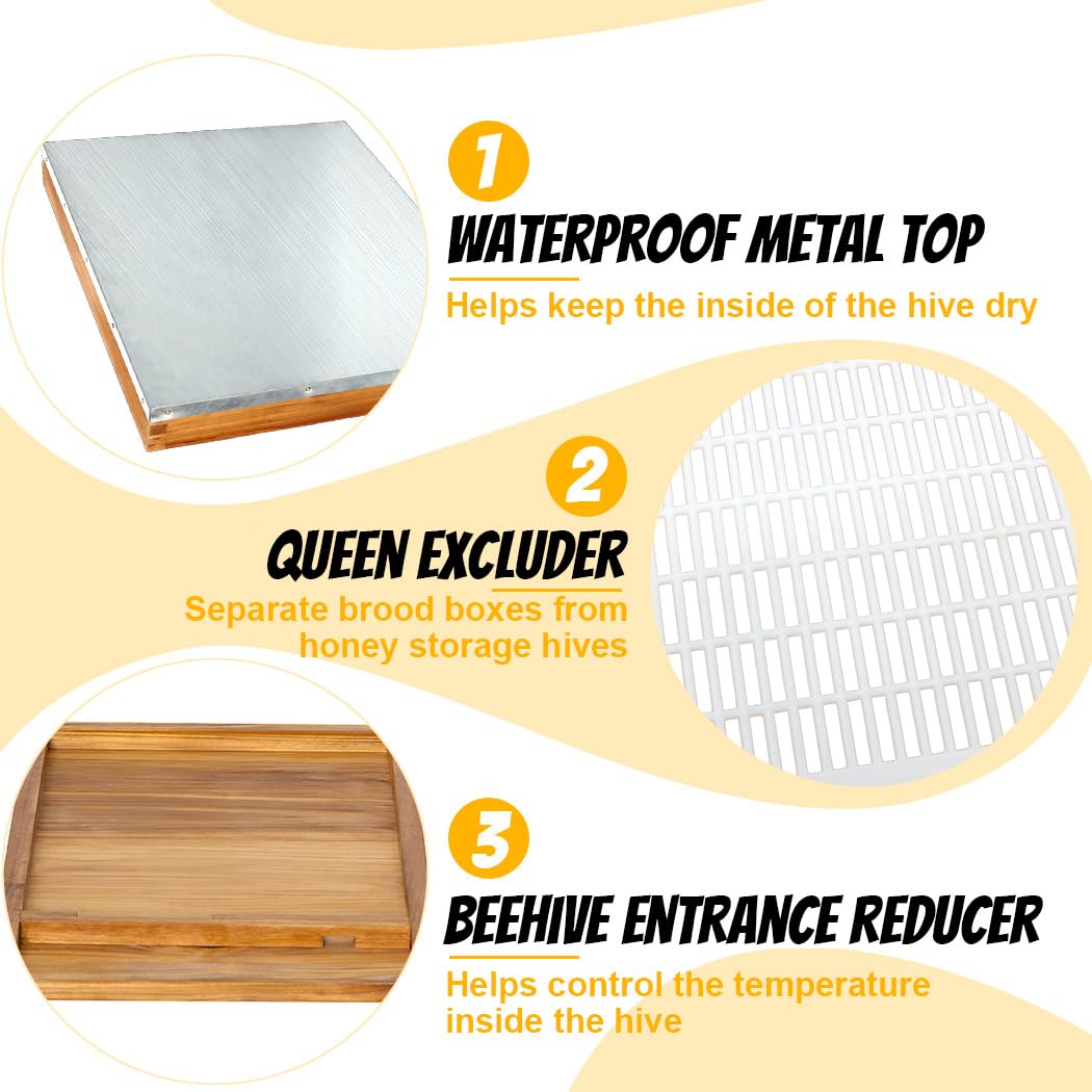 Honey Lake 10 Frame Bee Hive Starter Kit, Complete Beehive Kit for Beekeepers Dipped in 100% Beeswax Includes 1 Deep Brood Box & 1 Medium Super Bee Box with Beehive Frames and Waxed Foundation Sheet