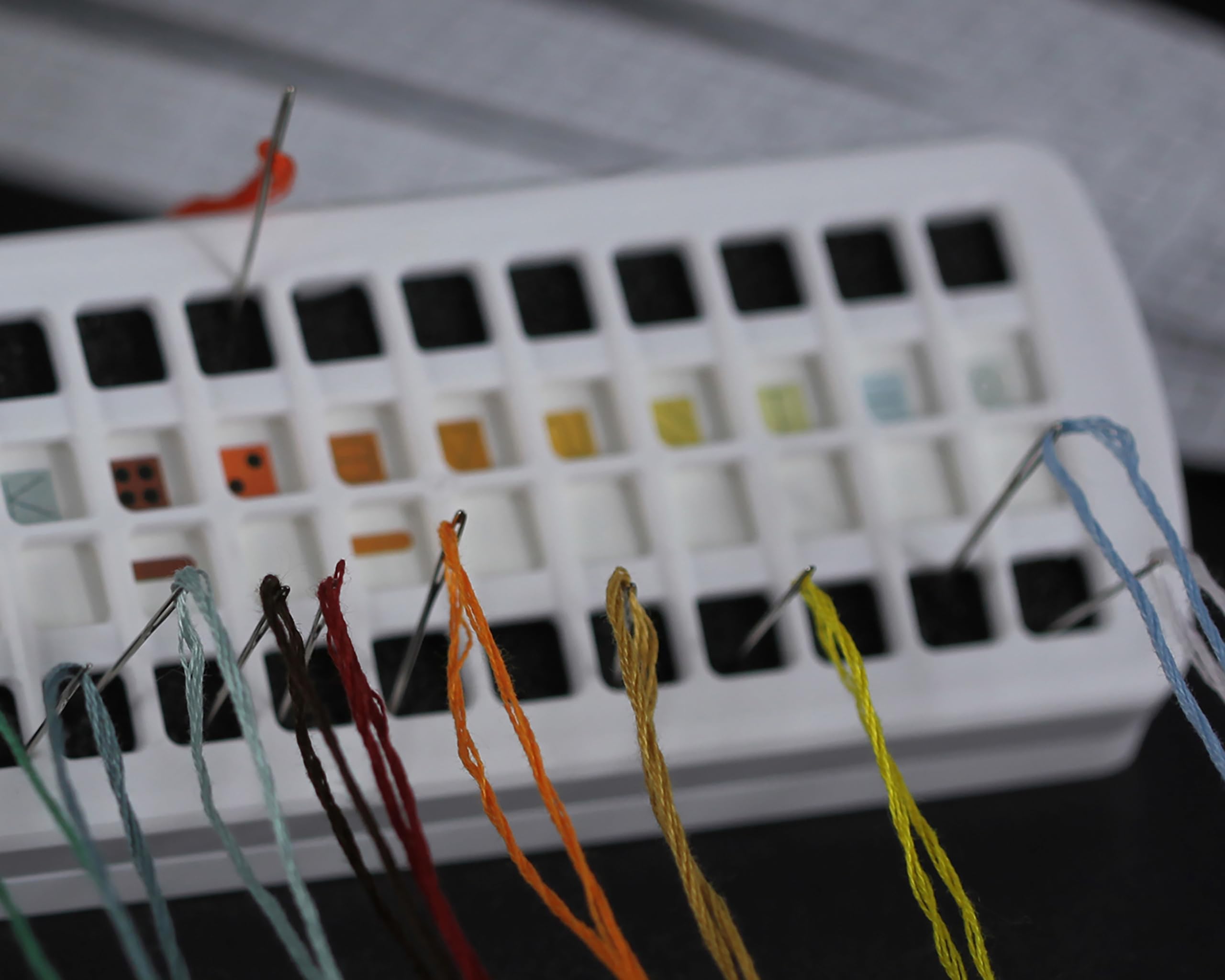 Pako Organiser Storage Needle Organiser - Cross Stitch Accessories - for Embroidery Needle - with 10 Blank Code Cards