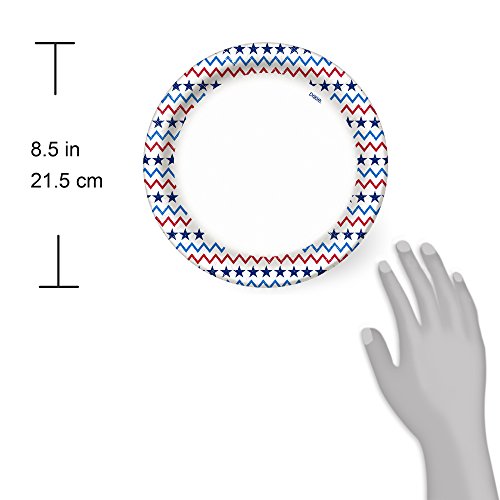 DIXIE® 8.5 INCH PAPER PLATES, 48 COUNT