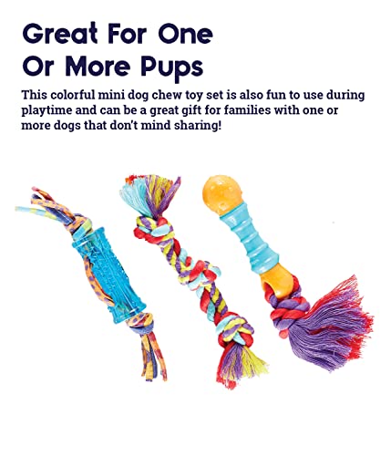 Petstages Orka Mini Dental Dog Chew Toys - 3 Pack