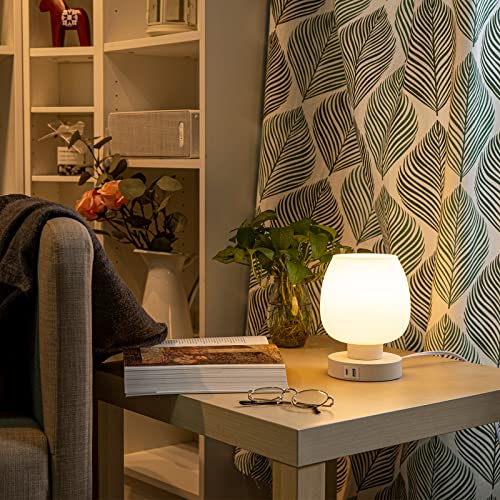 Touch Bedside Table Lamp - Small Lamp for Bedroom with USB C+A Charging Ports 3 Way Dimmable, Nightstand Desk lamp with White Opal Glass Lamp Shade Warm LED Bulb Included, Simple Design Gifts