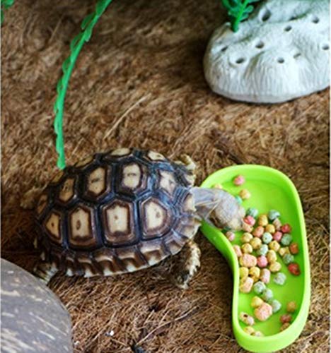 LSTCPGLAI 2 Pieces Tortoise Water Dish Reptile Water Dish Used for Tortoise Corn Snake Crawl Pet Eating and Drinking(Green)