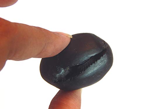 phoenix888 Adwaitya ChakraDhari Maha Vishnu Shaligram Nepal Kali Gandaki