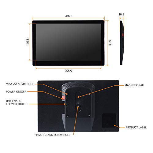DoubleSight Displays DS-12UT 12" LCD Touchscreen Monitor - TAA Compliant - Capacitive - 1366 x 768 - WXGA - 250 Nit - USB - Black - PC/MAC - 3 Year Warranty