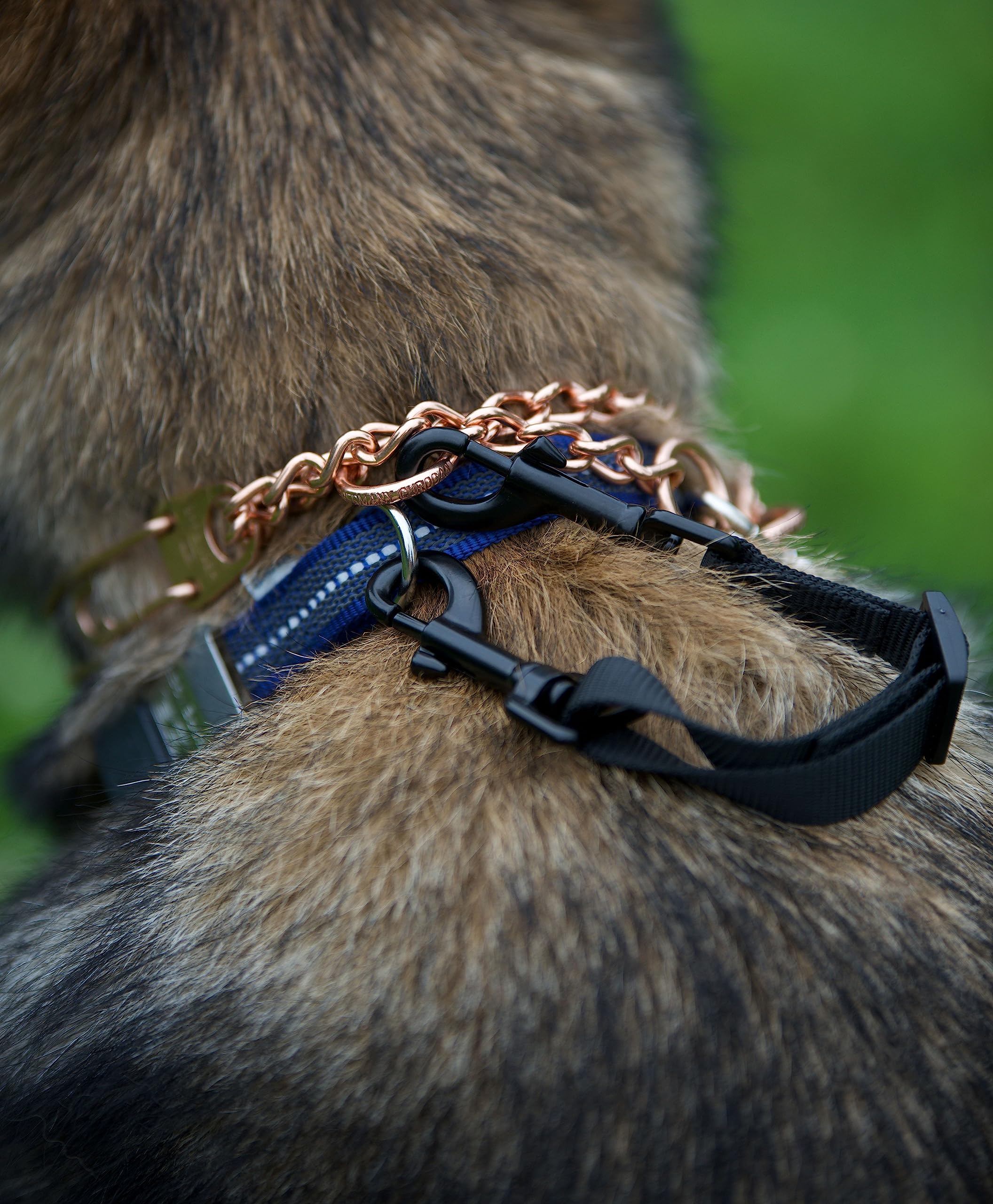 HS Herm. Sprenger Prong Collar Safety Clip (Black) 6"-8" - Pack of 1 Dog Leash Safety Strap - Enhanced Durability for Secure Leash Connection - Ideal for Safe Walk and Training