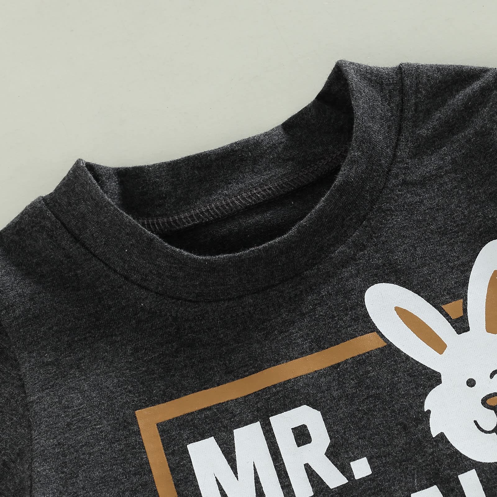 Infant Toddler Baby Boy Easter Day Outfit Clothes Short Sleeve Bunny Letter Printed T-Shirt Tops and Jogger Pants Set (Dark Gray, 18-24 Months)