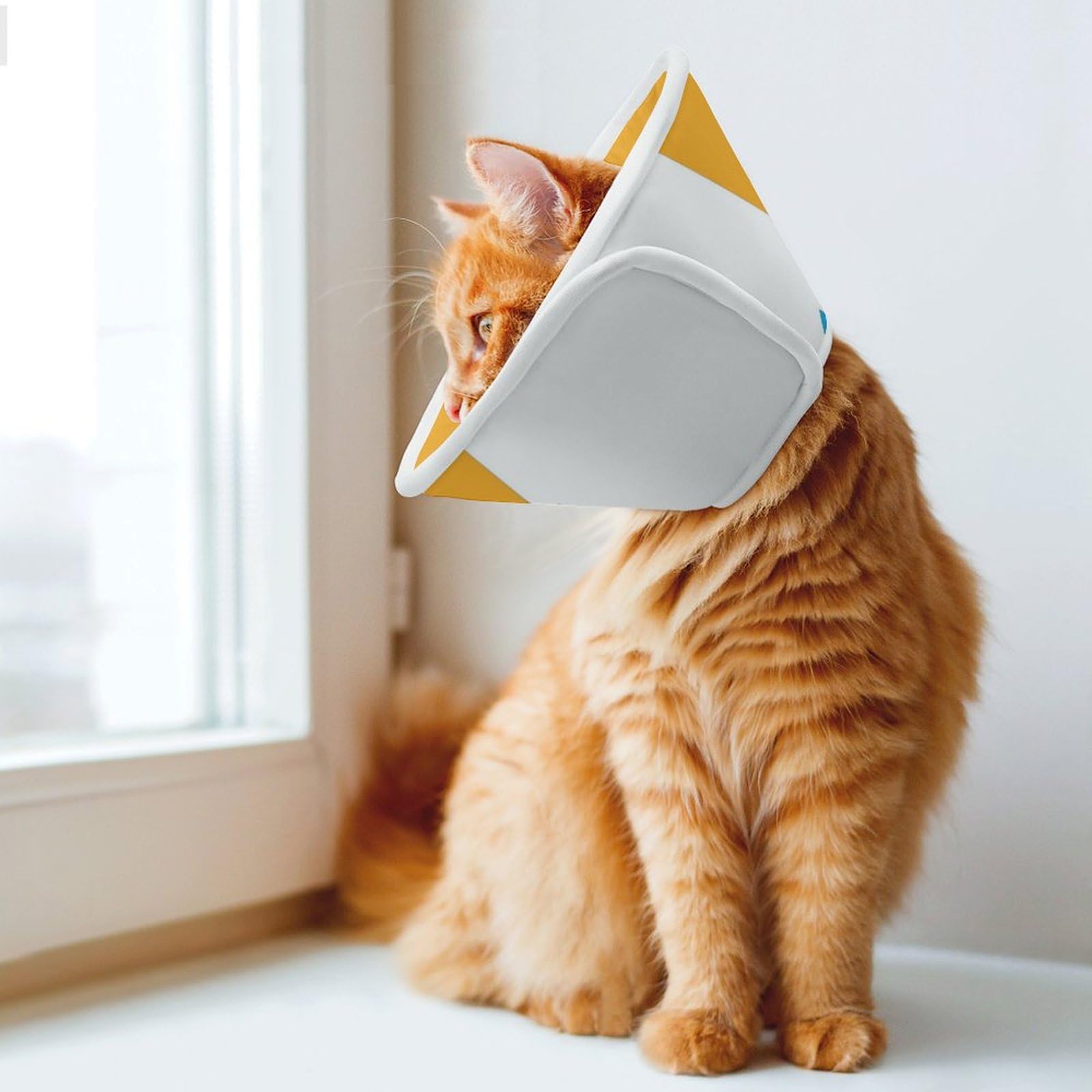 People's Flag of Milwaukee Soft Dog Cone Collars Protective Adjustable Cat Recovery Collar to Stop Licking S