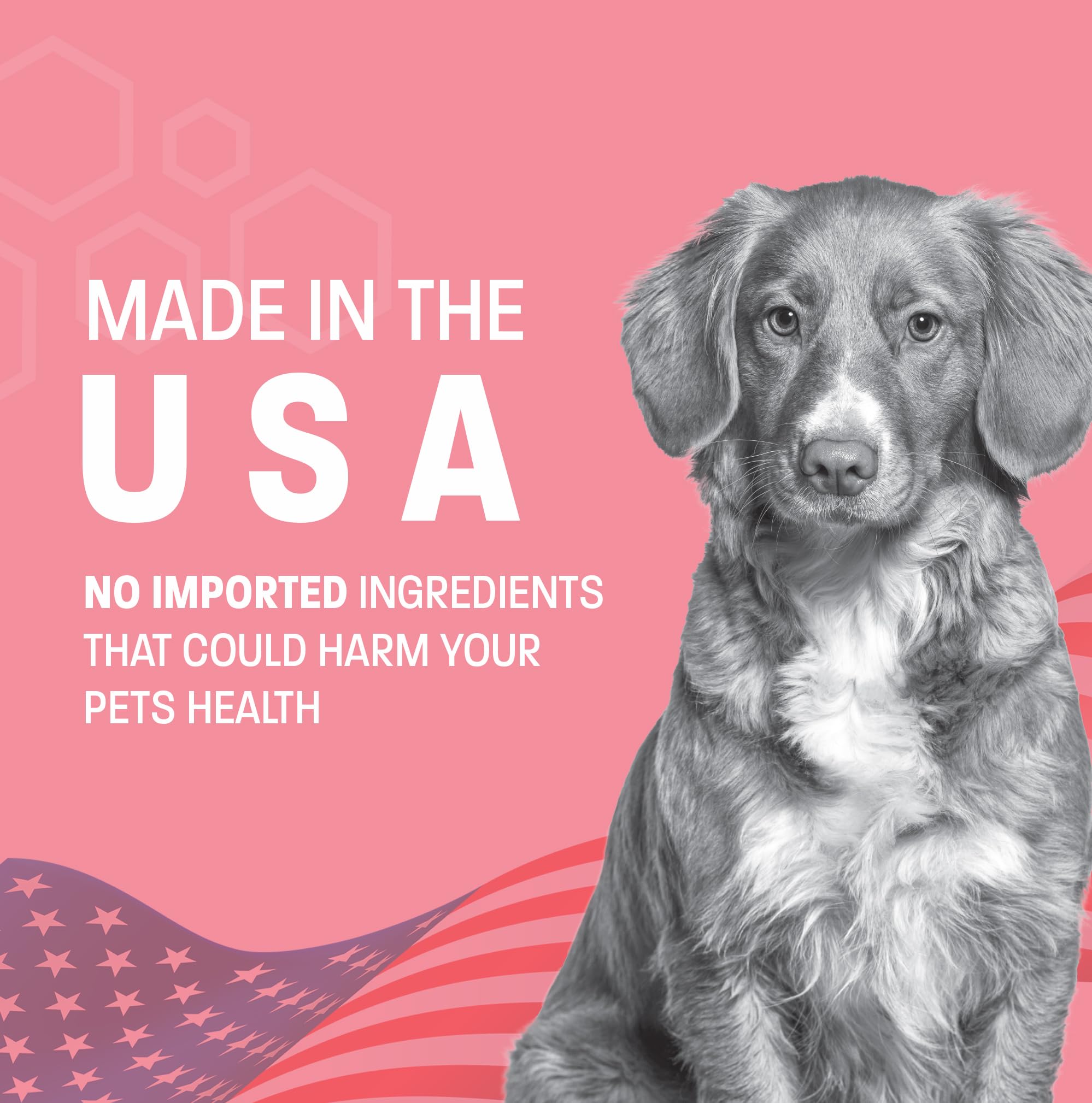 Pet Health Pros Advanced Probiotics for Dogs - Probiotic Soft Chew for Upset Stomach, Diarrhea & Constipation Relief - Promotes Happy Gut, Happy Dog - 60 ct