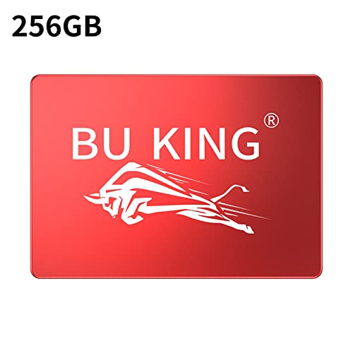 JENPECH Solid State Drive High Reliability SATA 3.0 Solid State Hard Disk Large Memory Easy Installation 60/120/240/256/480/512GB/1TB 2.5 Inches Powerful Metal for BU King 256GB